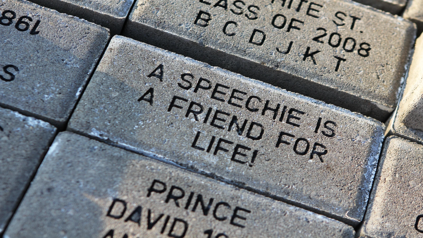 Preserve the Future by Honoring the Past One Brick at a Time | Fredonia.edu